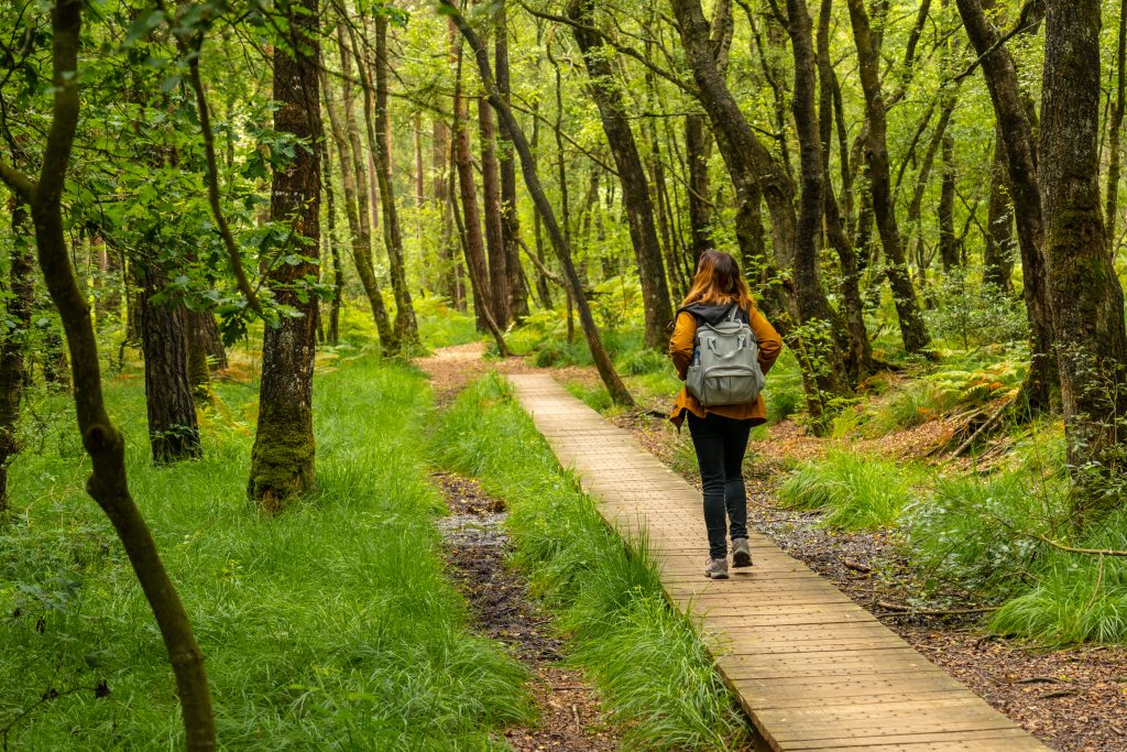 Why Are Nature Walks Beneficial for Physical and Mental Health?